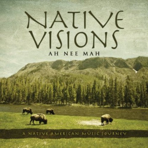 Ah*Nee*Mah - Native Visions: A Native American Music Journey – FYE
