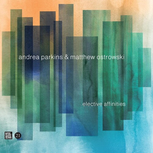 Andrea Parkins / Matthew Ostrowski - Elective Affinities – FYE